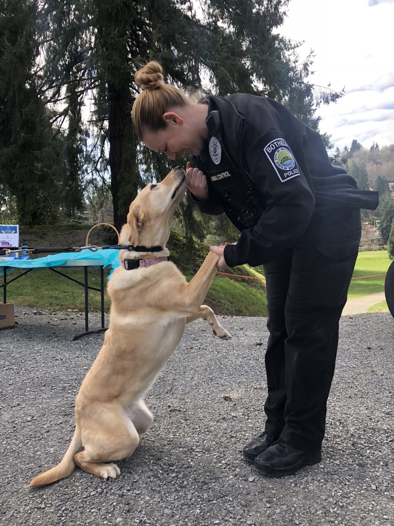 Washington Animal Control Association | dedicated to promoting ...